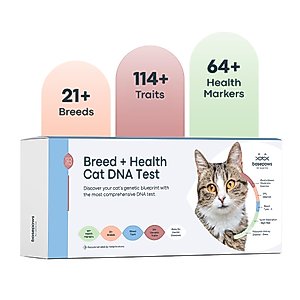 Basepaws Cat DNA Test Kit - Comprehensive Breed, Health and Dental Analysis Across 114 Traits for Accurate and Easy-to-Use Genetic Insights