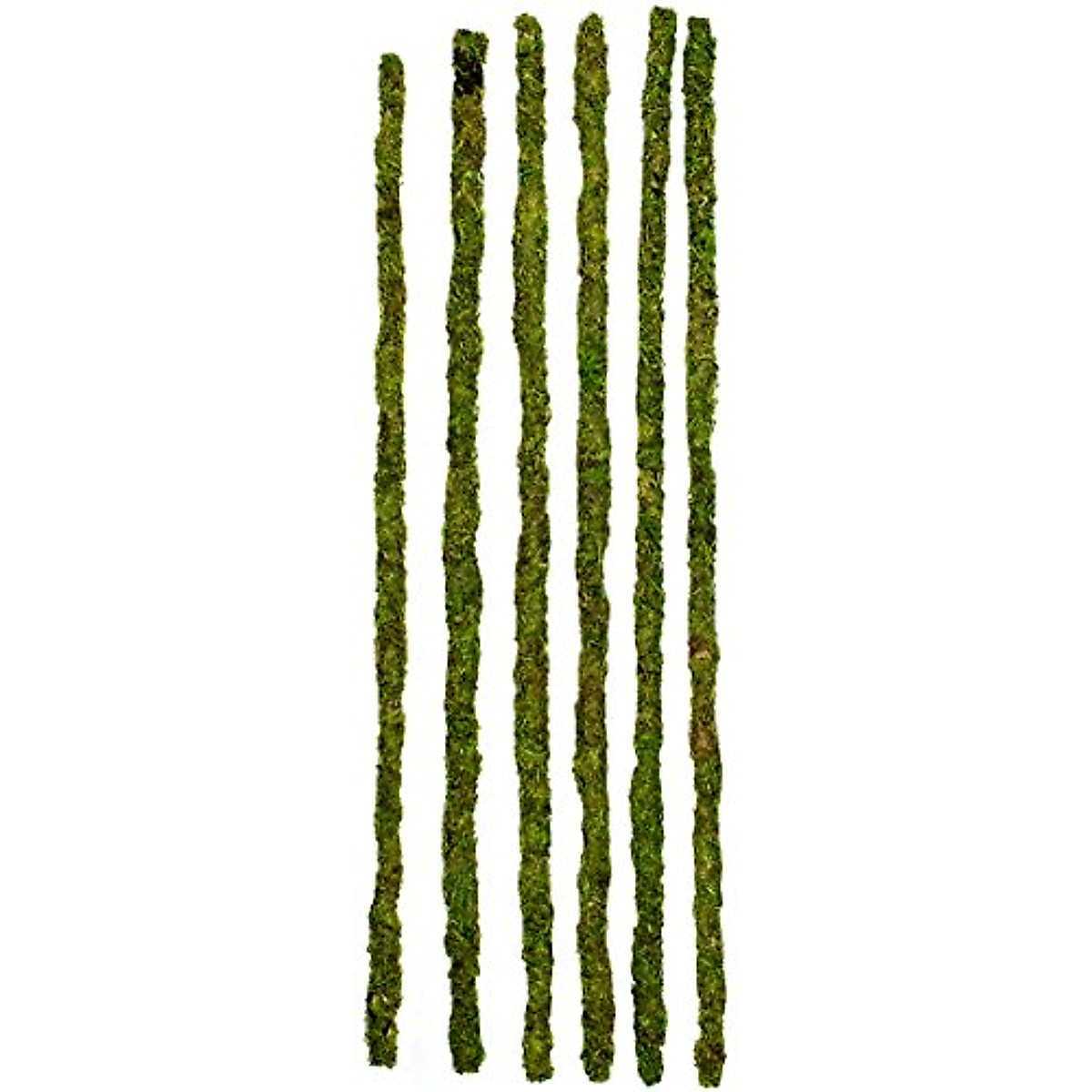 Galápagos (05322) Mossy Terrarium Sticks (6 Pack), 32"