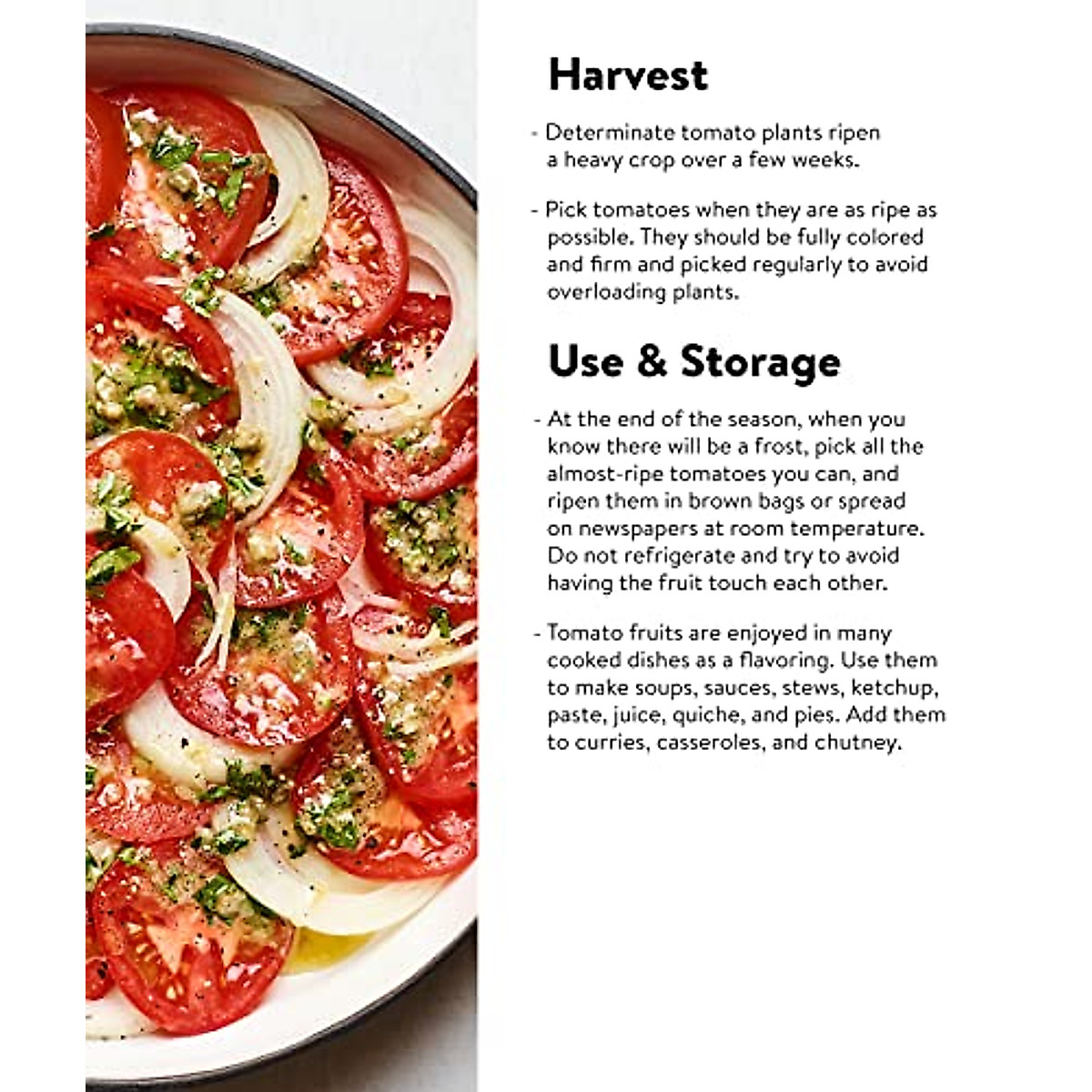 Burpee Celebrity Hybrid Tomato Seeds | Red Tomato Slicer | 35 Non-GMO Seeds for Planting | Disease-Resistant and Award-Winning Variety | Big Juicy Tomato for Summer Sandwiches