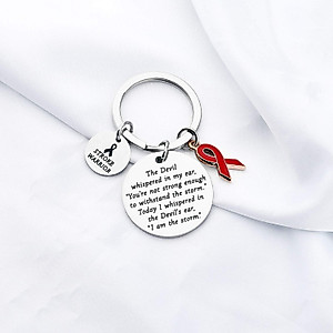 FUSTMW Stroke Awareness Keychain Stroke Warrior Gifts I Am The Storm Stroke Survivor Jewelry Recovery Gifts Red Ribbon Cancer Inspirational Gifts (silver)