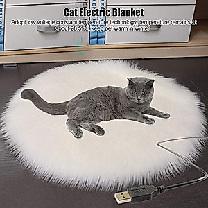 Electric Heated Blanket,Electric Blanket, Hand Warmer, Small Pet Cats Plush Heating Mat Heated Blanket Constant Temperature Waterproof Anti-Creep USB Interface(Wei?)