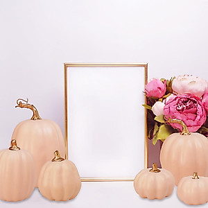 Winlyn 10 Pcs Assorted Artificial Blush Pink Pumpkins Decorative Fall Pumpkins Foam Pastel Light Pink Pumpkins for Fall Farmhouse Autumn Wedding Halloween Party Thanksgiving Festive Table Centerpiece