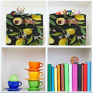 xigua Lemon Flower Storage Baskets,Large Decorative Collapsible Rectangular Canvas Fabric Storage Bin for Home Office(15x11x9.5inch,1 Pack)