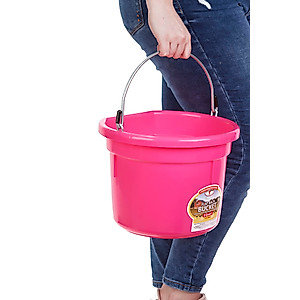 Little Giant Plastic Animal Feed Bucket (Hot Pink) Flat Back Plastic Feed Bucket with Metal Handle (8 Quarts / 2 Gallons) (Item No. P8FBHOTPINK)