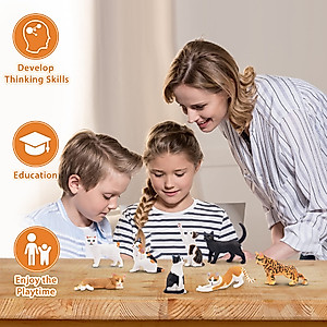 Toymany 8PCS Realistic Cat Figurines, Educational Cat Figures Toy Set, Kitten Easter Eggs Cat Cake Topper Christmas Birthday Gift for Kids Boys Girls Children