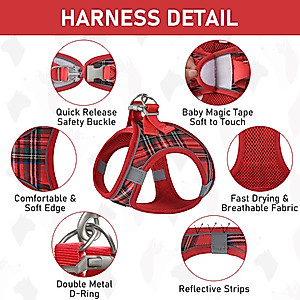 GAMUDA Small Dog Harness Collar and Leash Set, Step in No Chock No Pull Soft Mesh Adjustable Dog Vest Harnesses Plaid Reflective for Dogs Puppy Cats Kitten Rabbit (Red, L)