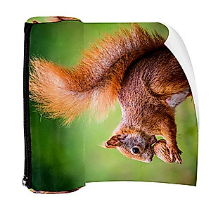 Squirrel Eat Nut in Wild Nature Pattern Pencil Bag Pen Case Stationary Case Pencil Pouch Desk Organizer Makeup Cosmetic Bag for School Office