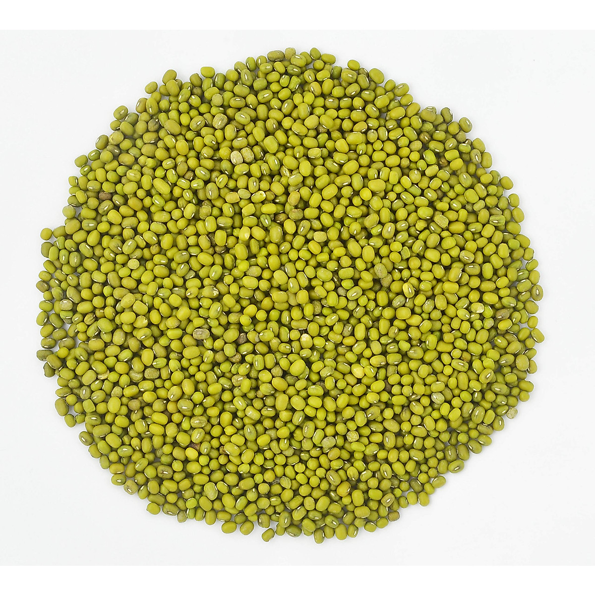 Whole dried Organic Mung Beans aka 'Green Gram' 'Maash' 'Moong' Prewashed Clean Ready to Cook non GMO (Natural, 25 Pound)