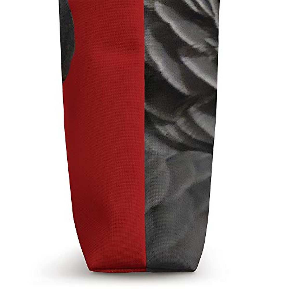 African Grey Parrot, Close up Face, Eye, Beak Tote Bag