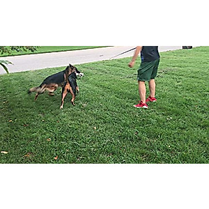 Jalousie Collapsible Dog Flirt Pole with Three Squeaky Toys Plush Toys Dog Teaser Wand Chase it Dog Toy with Refills (Dog Flirt Pole w/ Three Toys) - Upgraded Rope