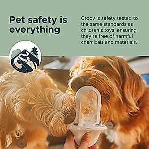 Diggs Groov Dog Training Toy I Puppy Training Aid I Crate Training Aids for Puppies I Attaches to Crate I Reduces Anxiety I Dog Treat Dispenser I Dog Kennel Toys I Turquoise