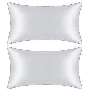Satin Pillowcase, DIGHEIGG Silk Pillowcase for Hair and Skin, Pillow Cases for Sleeping Set of 2 with Envelope Closure (Silver Grey, 20 ×30 inches)