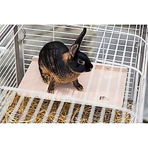 Extra-Large Rectangular Platform