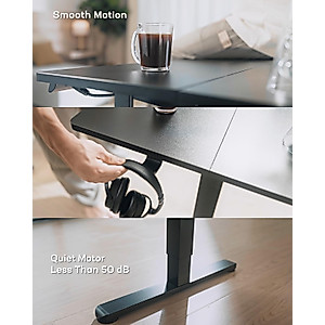 Marsail Electric Standing Desk, 48 * 24 Inch Height Adjustable Sit Stand up Desk with 3 Memory Preset, Headphone Hook Computer Desk Workstation for Home Office, Treadmill Pad