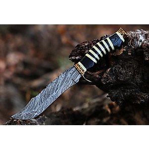 12.5 Inch long Hunting knife, Collectible knife, Scale is made of Camel bone and dollar wood, embellished with Engraved brass finger guard and pommel, Hand forged Twist pattern Damascus steel blade, Comes with Leather sheath