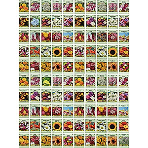 Set of 100 Assorted Valley Green Flower Seed Packets! Flower Seeds in Bulk - 20+ Varieties Included