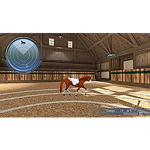 My Riding Stables 2: A New Adventure (PS4)