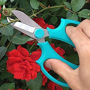 Jasni Garden Pruning Shears Scissors with Comfort Grip Handle, Premium Steel Professional Floral Scissors, Perfect for Arranging Flowers, Pruning, Trimming Plants, Gardening Tool (Blue)