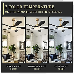 Ceiling Fan with Light 60 Inches Black and Gold, Modern Ceiling Fan with Remote Control, Flush Mount Large Ceiling Fan with LED Lights 5 Blades 6 Speed Reversible DC Motor for Bedroom Dining Room