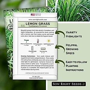 Sow Right Seeds - Lemon Grass Seed for Planting - Non-GMO Heirloom Seeds - Full Instructions for Easy Planting and Growing an Herb Garden, Indoor or Outdoors; Great Gardening Gift (2)