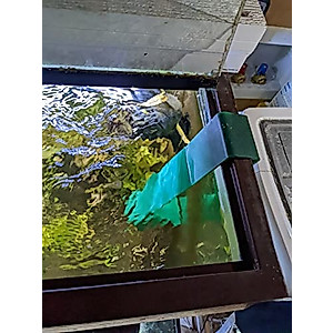 Hang on Top Angelfish & Discus Breeding Slate. Green Acrylic Simulates Amazon Sword Leaf Providing Spawning Surface for Egg Laying. Fish Room Tested & Breeder Approved. Made in USA