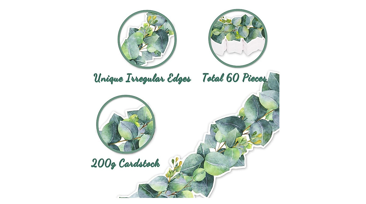 Eucalyptus Bulletin Board Borders – Green Classroom Decor