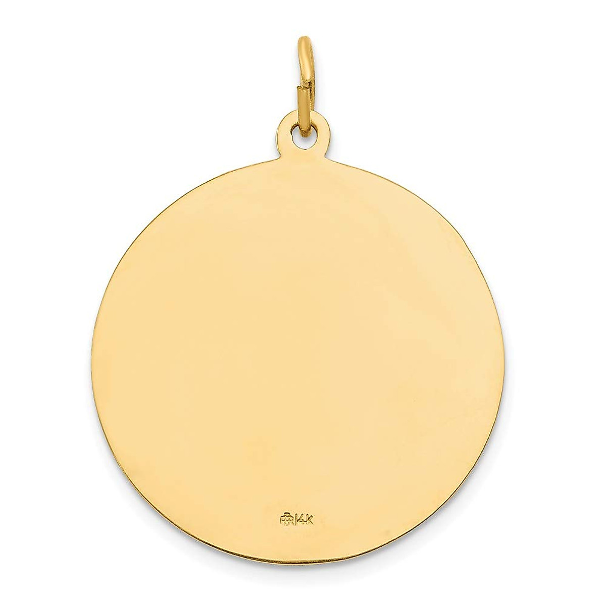 FB Jewels Solid 14K Yellow Gold Sacred Heart Of Jesus Medal Pendant (0.98 x 1.3 Inches)