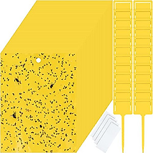 150 Pieces Sticky Traps for Gnats Dual Sided Sticky Traps for Indoor and Outdoor Plant Fruit Fly Sticky Traps with Twist Ties and Plastic Holders for Flying Plant Insect, Fungus Gnats
