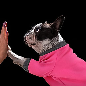 IDOMIK Dog Hoodies Pullover Casual Sweatshirt Soft Winter Coat for Small Dogs,Pet Clothes Cotton Hooded Shirt with Sleeves,Puppy Pajama Onesie Jumpsuit Warm Outfits Costume Cold Weather Jacket Apparel