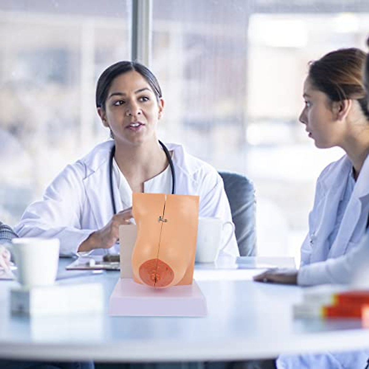 iplusmile Model of The Female Breast Human Breast Anatomy Model Lactation Teaching Nursing Trainning Education Tools for Medical Students and Teachers