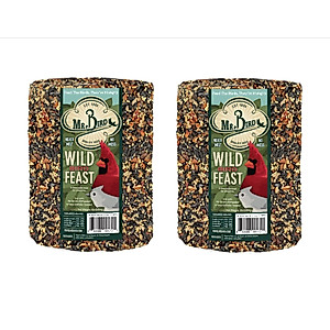 2-Pack of Mr. Bird Wild Bird Feast Birdseed Large Cylinder 4 lbs.