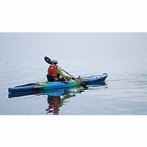 Wilderness Systems Tarpon 140 Sit on Top Fishing Kayak Premium Angler Kayak 14'