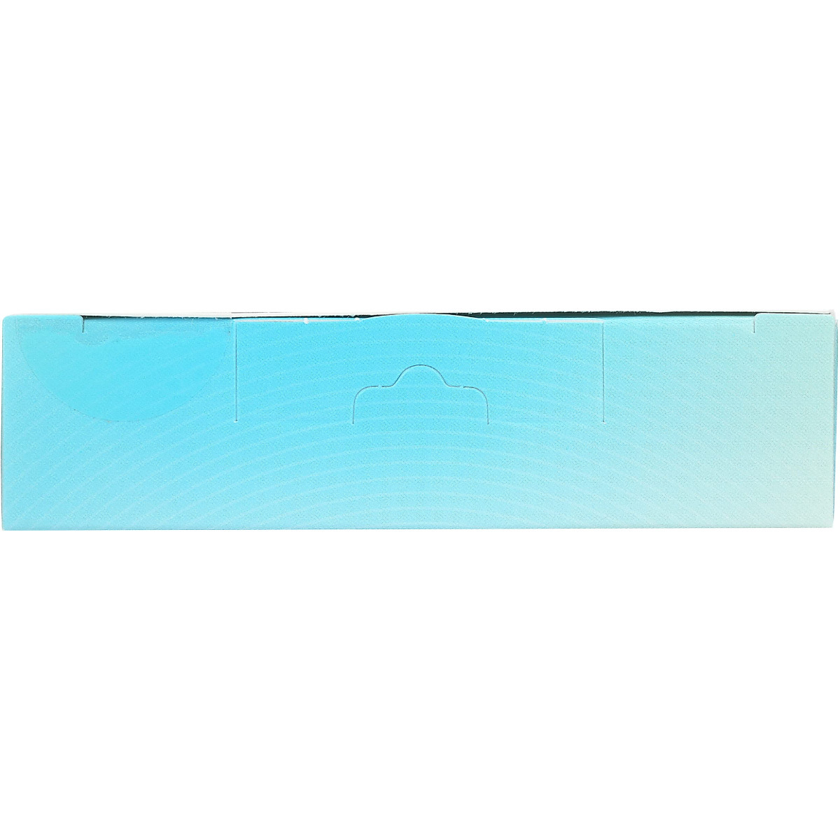 DR TUNG'S Ionic Hygienic Replacement Brush Heads