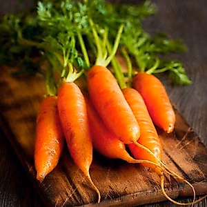 RattleFree Little Finger Carrot Seeds,Heirloom and Non-GMO Carrot Seeds,Vegetable Seeds for Planting Outdoor Home Gardens,Planting Instructions Included