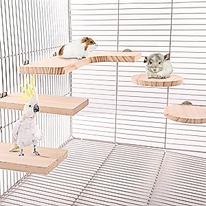 ROZKITCH 5 PCS Hamster Platform, Squirrel Gerbil Chinchilla Dwarf L-Shaped Pedal Natural Wood Activity Playground, Parrot Round Standing Board*2, Bird Perch Cage Toy*2, Play Gym Tray Cage Accessories