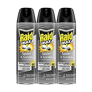 Raid Max Spider & Scorpion Killer (12 Ounce (Pack of 3))