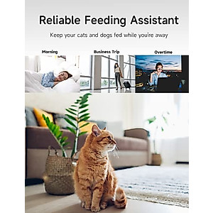 LivingEZ 6L Smart Automatic Cat Feeder for Dry Pet Food, Timed Cat Feeder Programmable Portion Control for 4 Meals per Day, Pet Feeder with Voice Recorder for Cats and Dogs