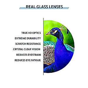 Clear Glass Reading Glasses Real Glass Lenses in Stylish Acetate Frame Available in Reading Magnification +0.25 to +3.00 (+2.75)