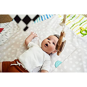 The Play Gym by Lovevery | Stage-Based Developmental Activity Gym & Play Mat for Baby to Toddler, 1 Count (Pack of 1)