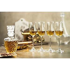 GLASSIQUE CADEAU Cognac, Brandy, Tequila and Dessert Wine Snifter Glasses | Set of 4 Small Tasting Tulip Copitas for Sipping Spirits, Madeira, After Dinner Drinks