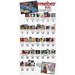 Bad Cat Wall Calendar 2021
