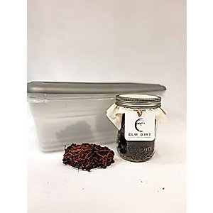 Elm Dirt Worm Compost Bin Outdoor & Indoor - Worm Farm Composting for Recycling Food & Paper Waste at Home, Composter for Worm Casting Starter Bins | Up to 500 Growing Worms - Worm Bin (3 Bins)