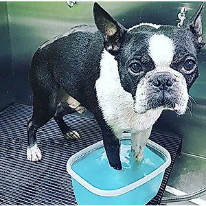 Warren London Deep Cleaning Paw Soak | Soothing Itchy Paw Relief for Dogs with Seaweed, Tea Tree Oil, & Aloe Vera | Anti Licking for Dogs Paws | 5 Minute Paw Spa Service at Home | 12 Tablets