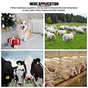 Professional Pet Veterinary Thermometer, LCD Display Fast Digital Veterinary Thermometer, Pet Electronic Thermometer for Livestock Pigs Cattle Sheep Dogs Horse