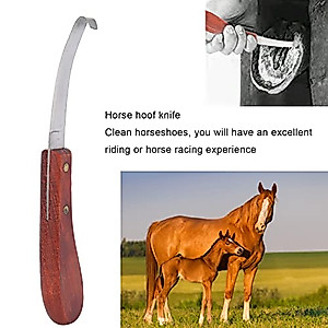 6 Piece Professional Farrier Tool Kits - Mini Goat Hoof Trimmers, Rasp Hoof File, Goat Pig Equine Hoof Nipper Cutter Handle Knife (12 Inch)