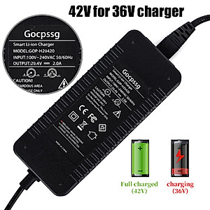 Gocpssg 29.4V 2A Charger for 25.2V 25.9V 25.6V 24v Lithium Battery 2 Plugs 1 Prong 5.5mm DC Plug and 8mm 3 Prong Connector
