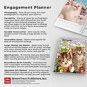 Kittens | 2023 6 x 7.75 Inch Spiral-Bound Wire-O Weekly Engagement Planner Calendar | New Full-Color Image Every Week | BrownTrout | Animals Cats Pets