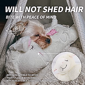 ALL FOR PAWS Heartbeat Dog Toy,Dog Anxiety Relief,Sheep Stuffed Dog Toys,Pet Toys,Dog Training & Behavior Aids,Dog Plush Toy