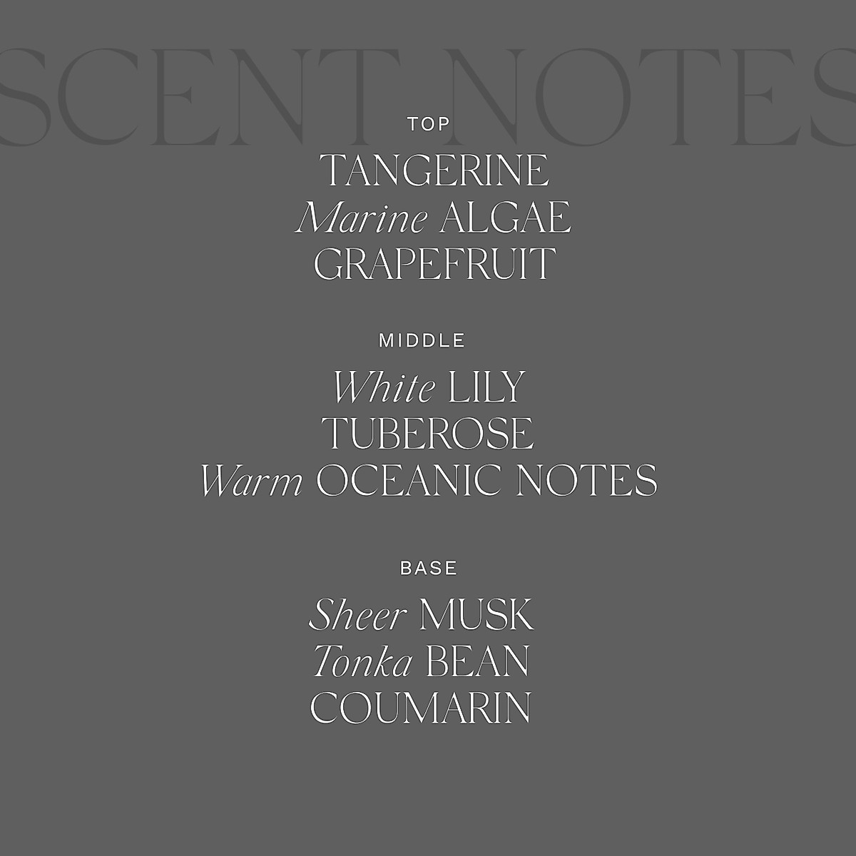 Antica Farmacista Home Ambiance Diffuser, Acqua, 8.45 Fl Oz