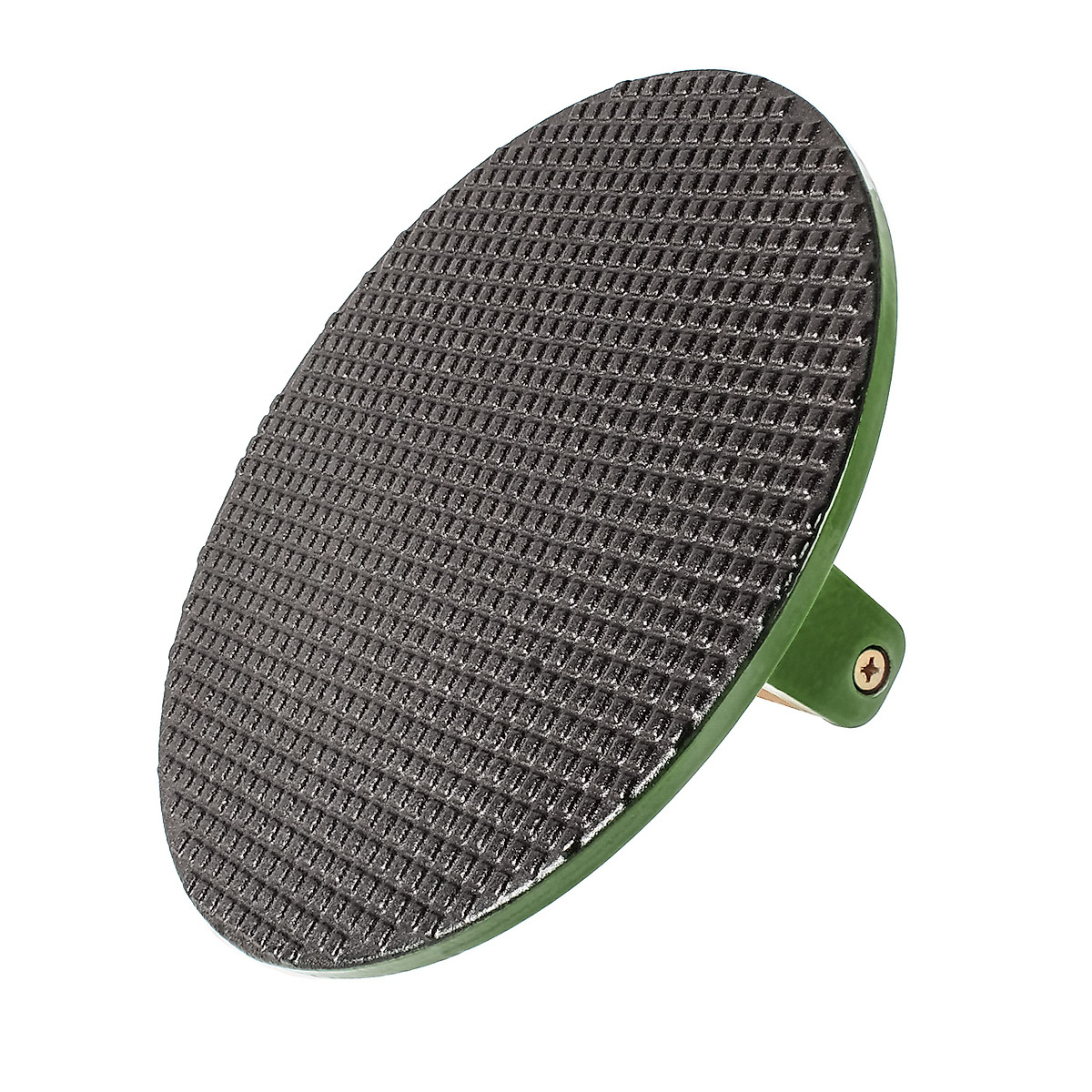 Berghoff 2Pc Neo Enameled Cast Iron Cookware Set, Fry Pan 10 Inches, Steak Press, Oven Safe Up To 400°F, Green